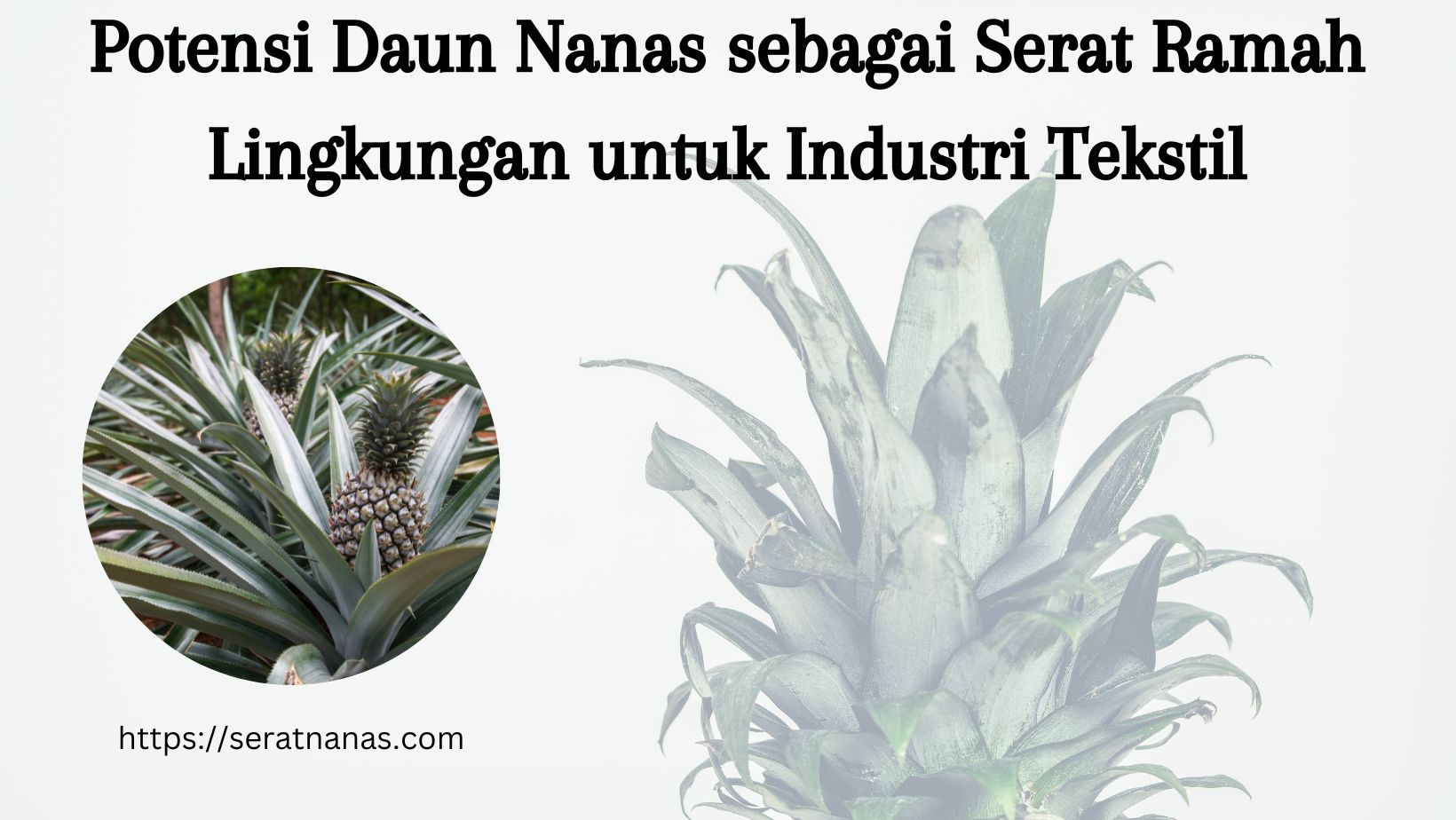 Potensi Daun Nanas sebagai Serat Ramah Lingkungan untuk Industri ...